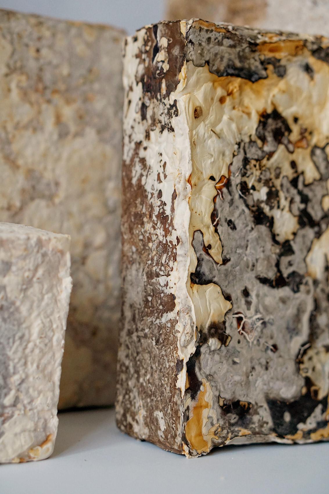 YY myco collection from mushrooms and hemp by YOVA YAGER design and S.Lab